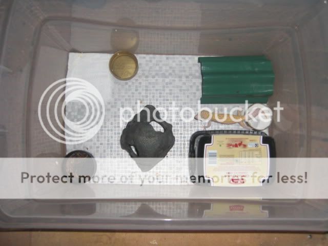 One of my leopard gecko racks (extremely picture heavy) | Reptile Forums