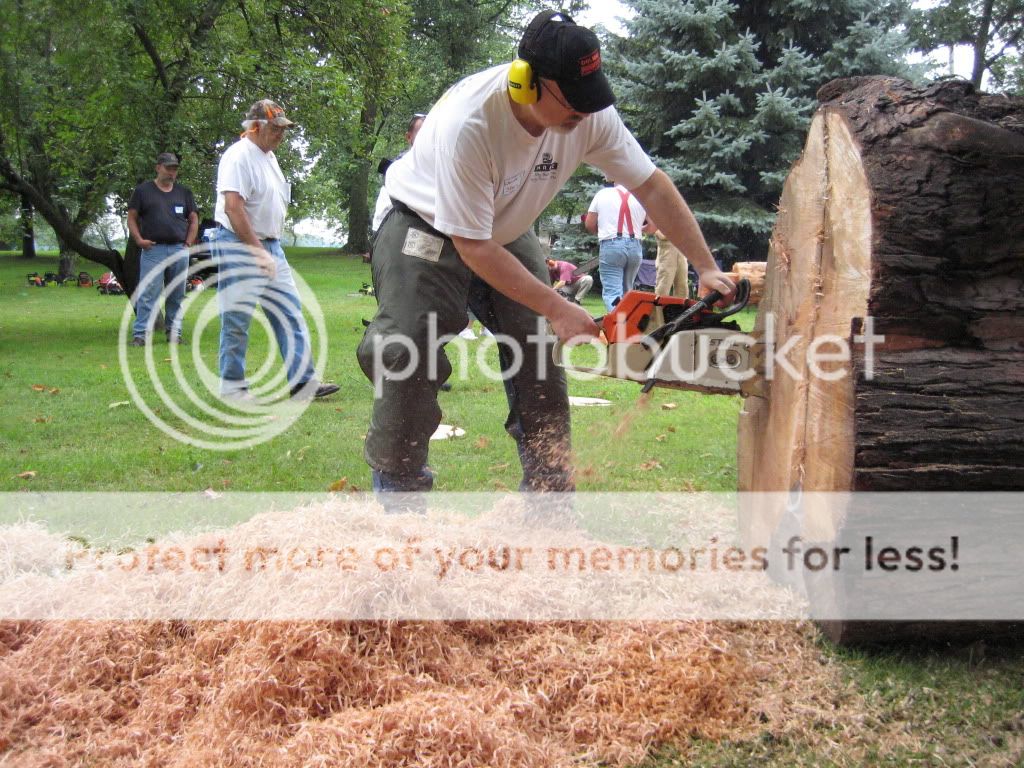 NO BASHING & FINGER POINTING good news thread | Arborist, Chainsaw ...